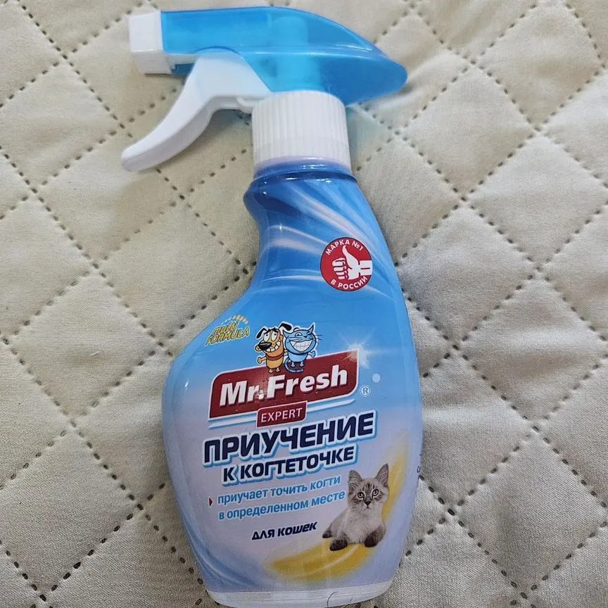 Приучение к когтеточке для кошек