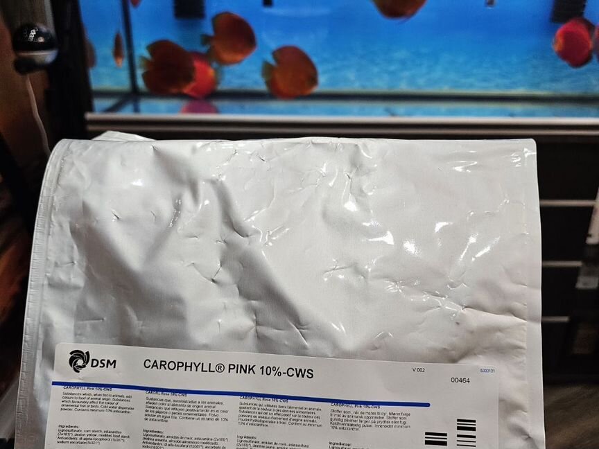 Карофил розовый