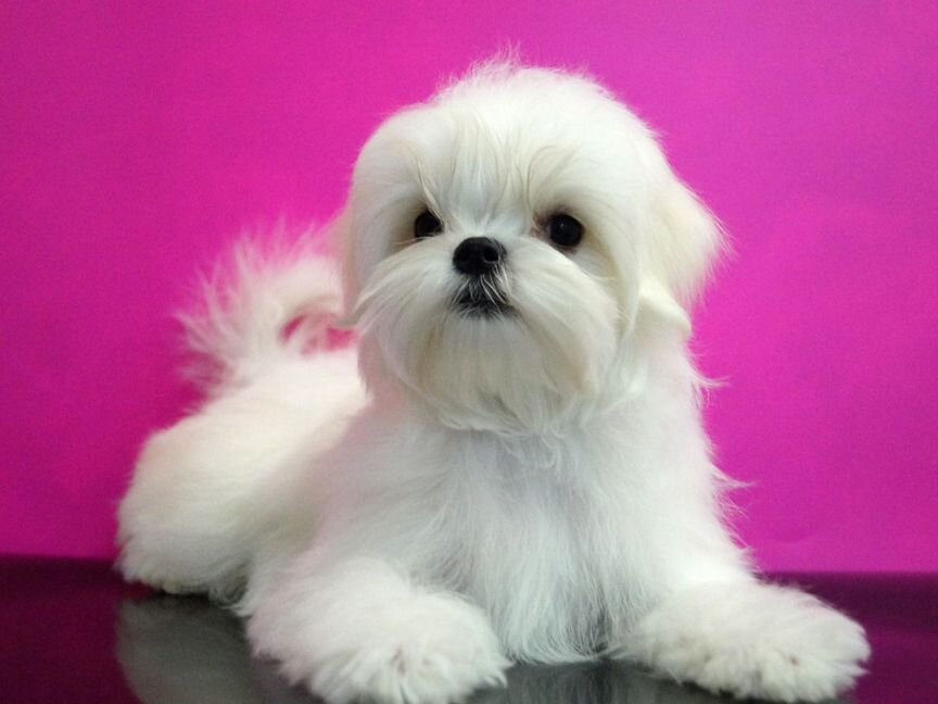 Самая красивая малышка