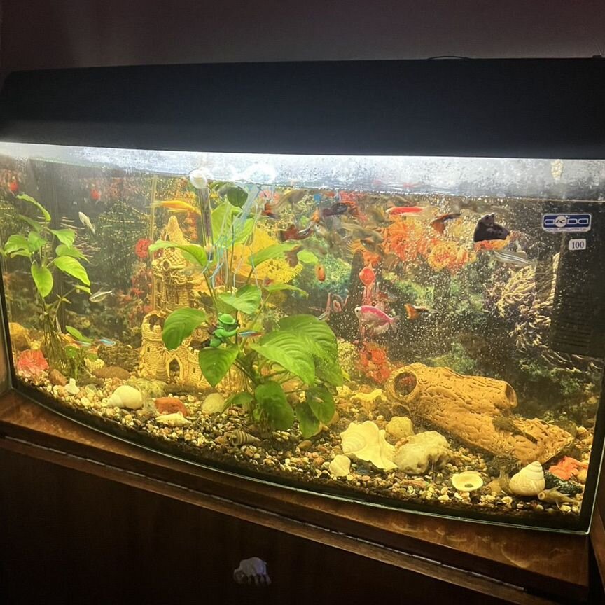 Продается аквариум 120 литров