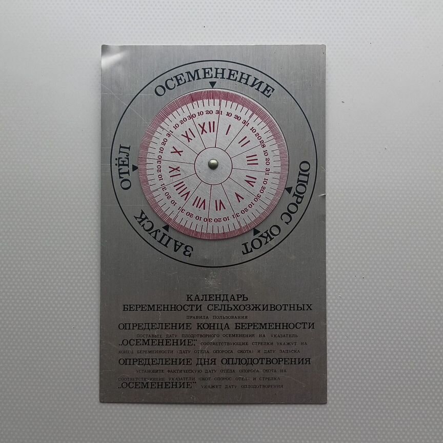 Календарь беременности сельхозживотных