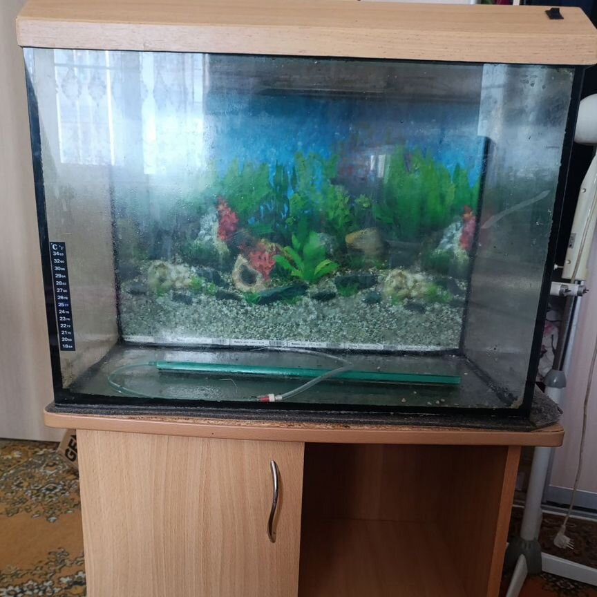 Аквариум с тумбой 70л