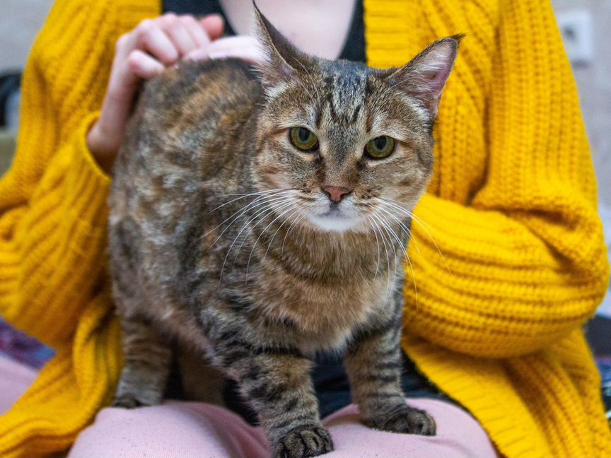 Ищу человека с вич инфекцией