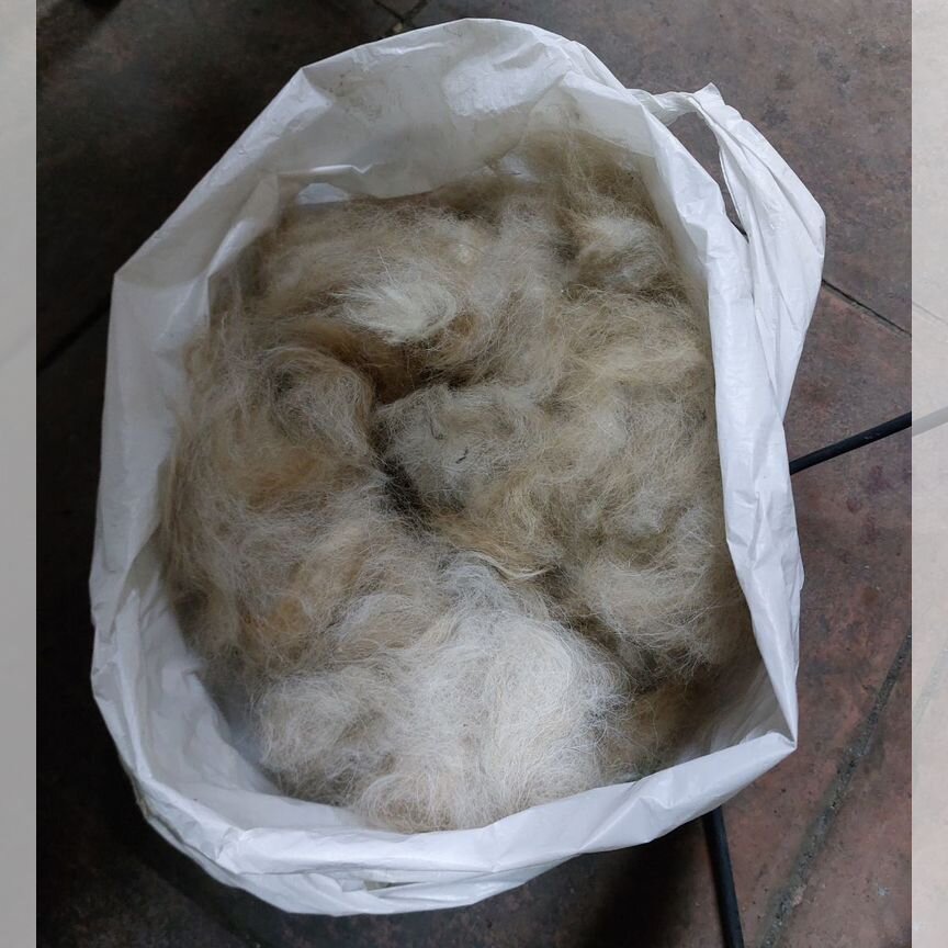 Собачья шерсть пух вычес