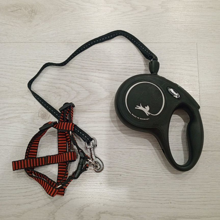 Поводок рулетка для собак