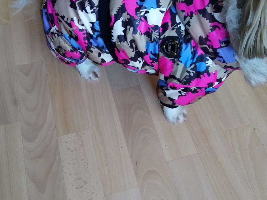 Зимний комбинезон для собак мелких пород