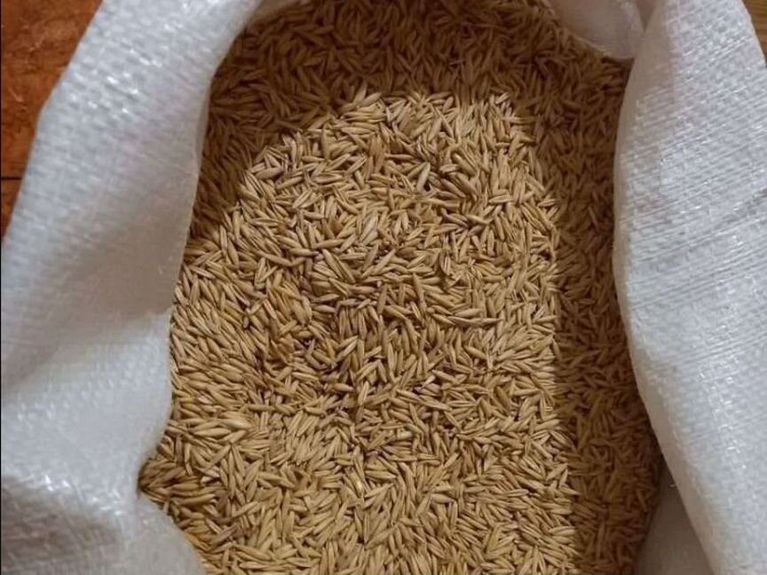 Гречиха, Сахарная свёкла корма