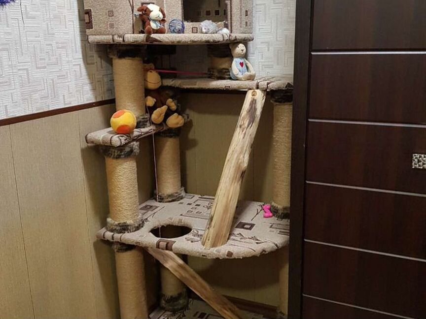 Домик для кошки с когтеточкой бу