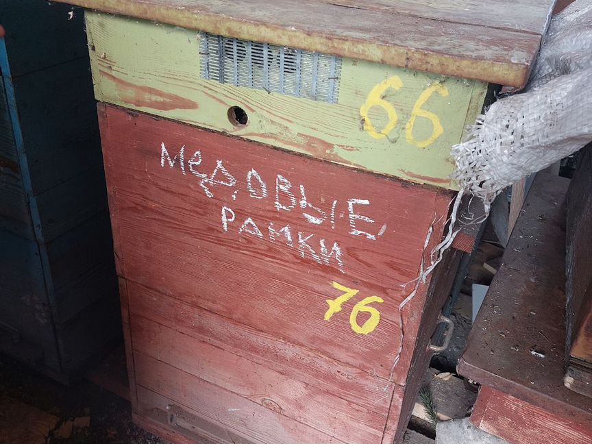 Пчелиный улей
