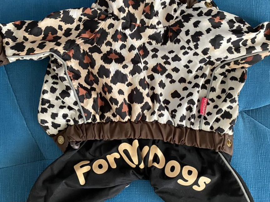 Одежда для собак