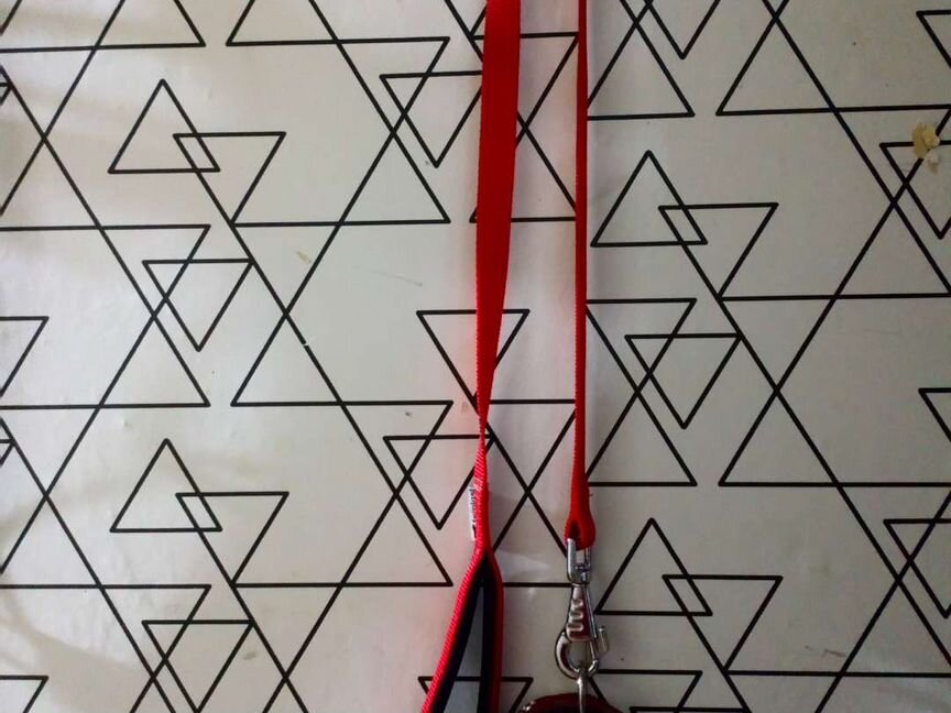 Ошейник с поводком