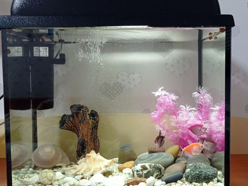 Аквариум 15 литров