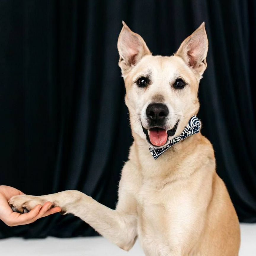 Филя ищет семью