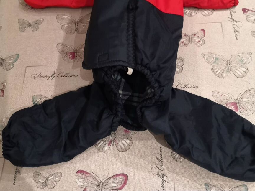 Одежда для собак