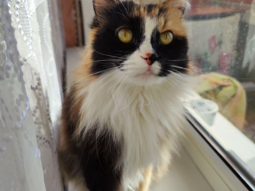 Мне нужен дом