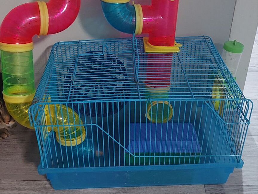 Клетка для джунгарика