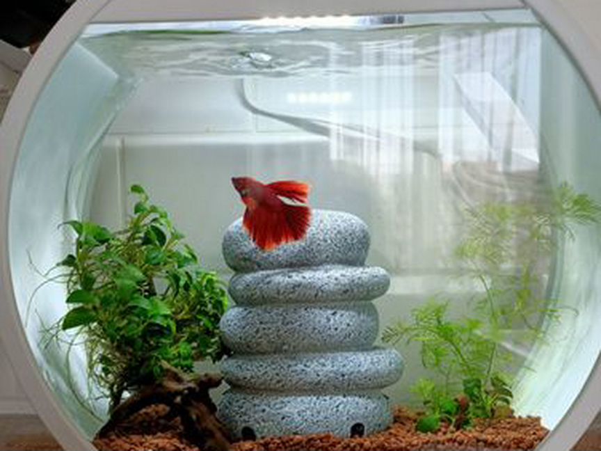 Два аквариума 10л AA-Aquarium Deko Mini