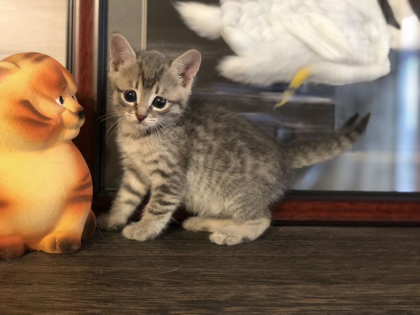 Мальчик с пальчик