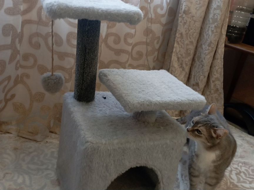 Домик для кошки с когтеточкой