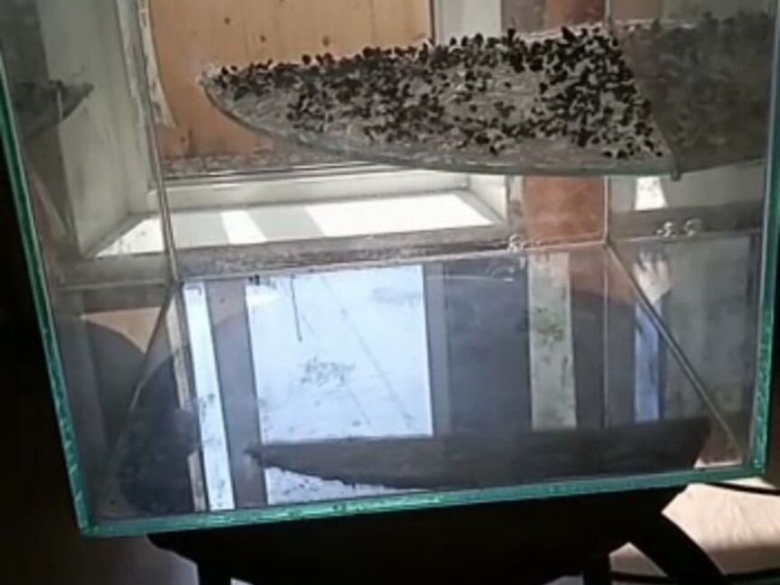 Продам аквариум