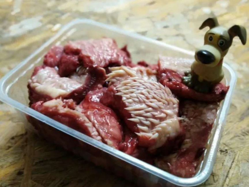 Щеки говяжьи, Корм, мясо для собак, кошек