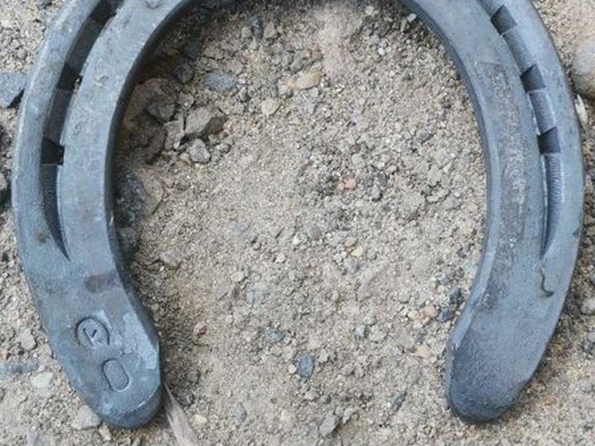 Подкова для лошади