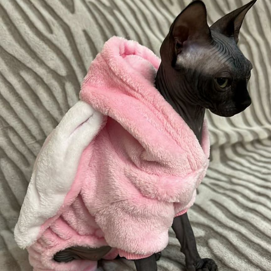 Котодетки