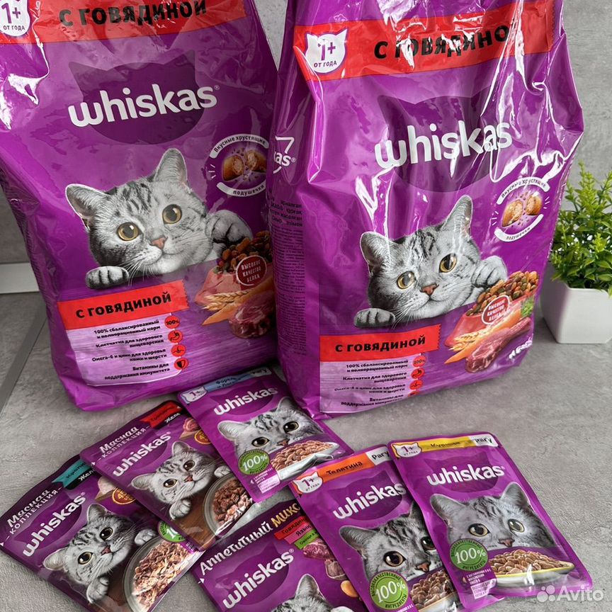 Сухой и влажный корм Вискас