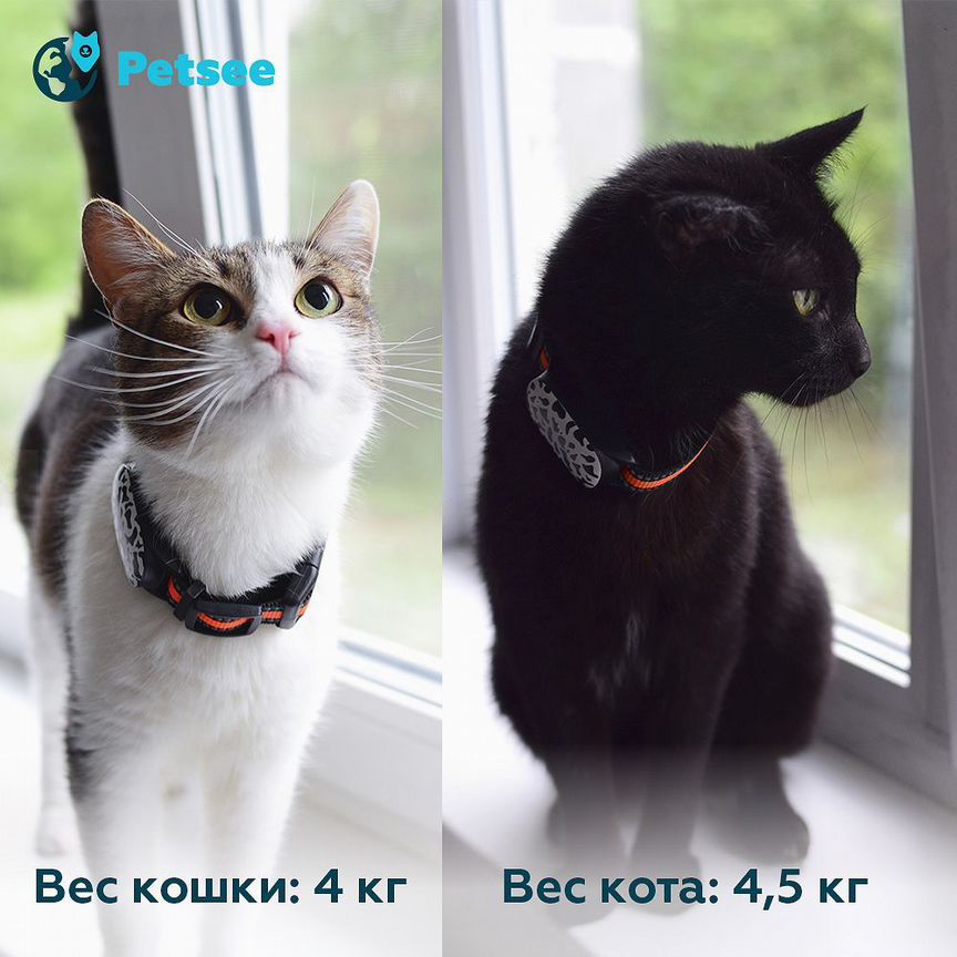 GPS для животных