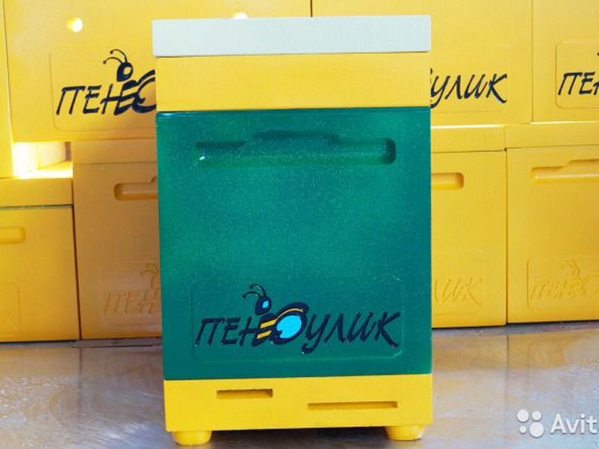 Улей нуклеус