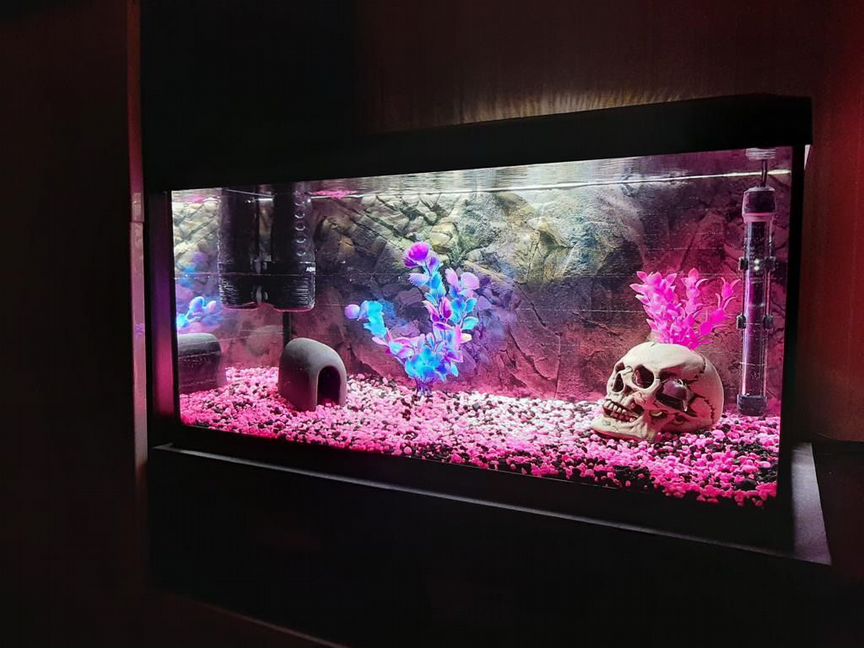 Аквариум 54 литра Aquael