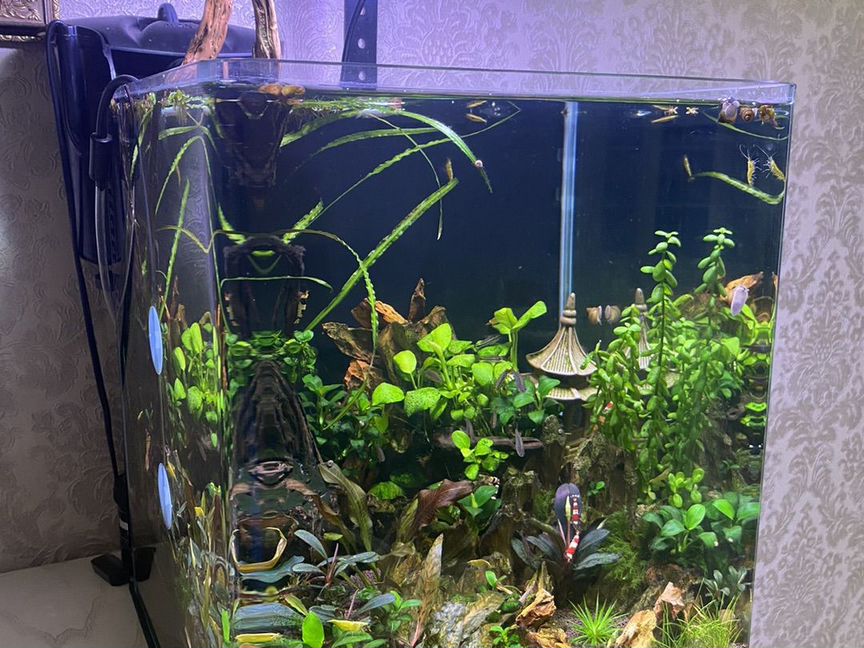 Аквариум скейп dennerle 30 литров