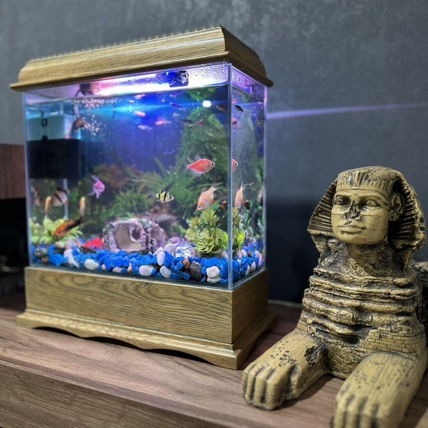 Аквариум с подсветкой без рыбок и содержимого