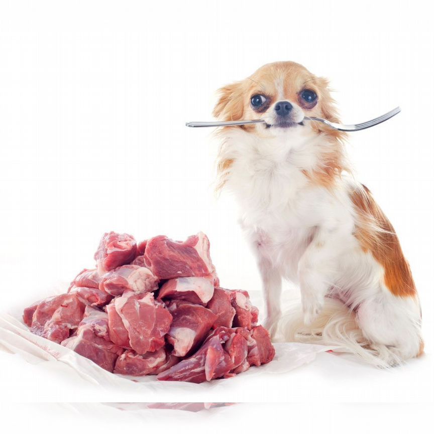 Вкусняшки для собак