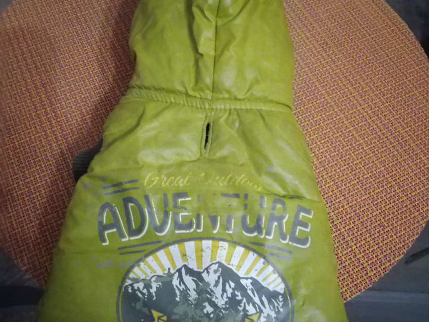 Безрукавка для маленькой собачки