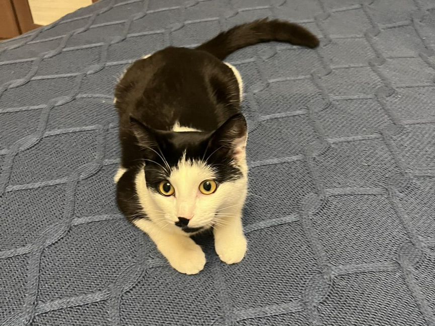 Ксюша- умная ласкуша