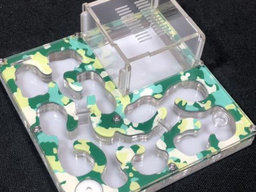 Муравьиная ферма (формикарии)