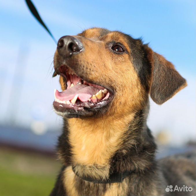 Хочу быть нужным кому то