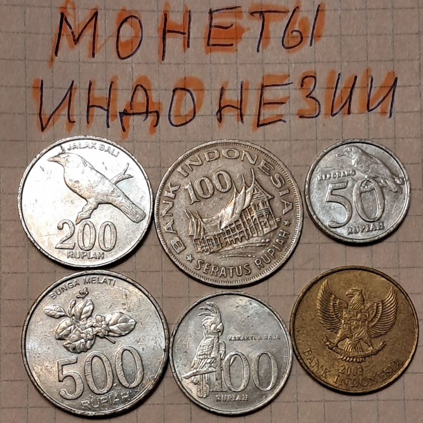 Удивительные пернатые Индонезии, 6 шт