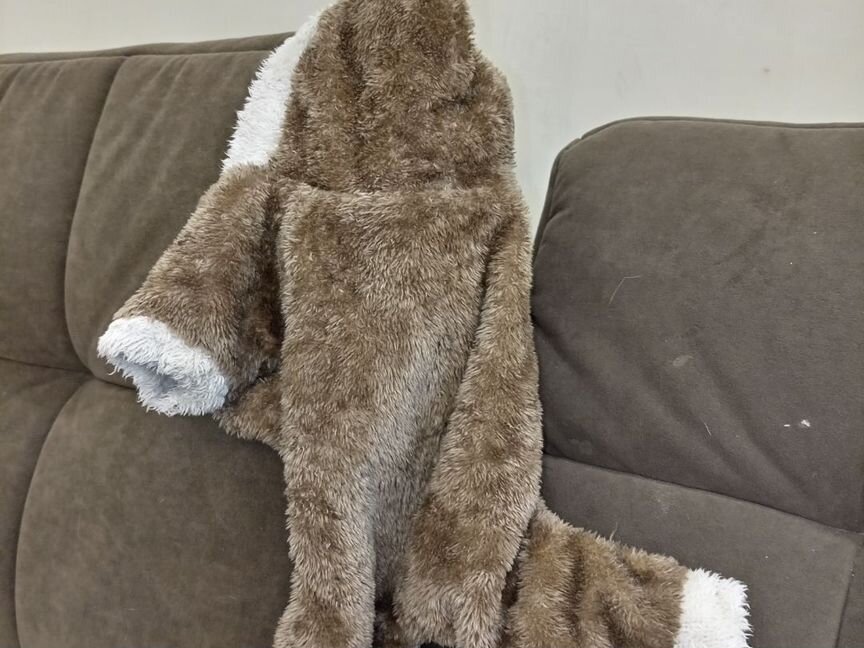 Костюм для собаки
