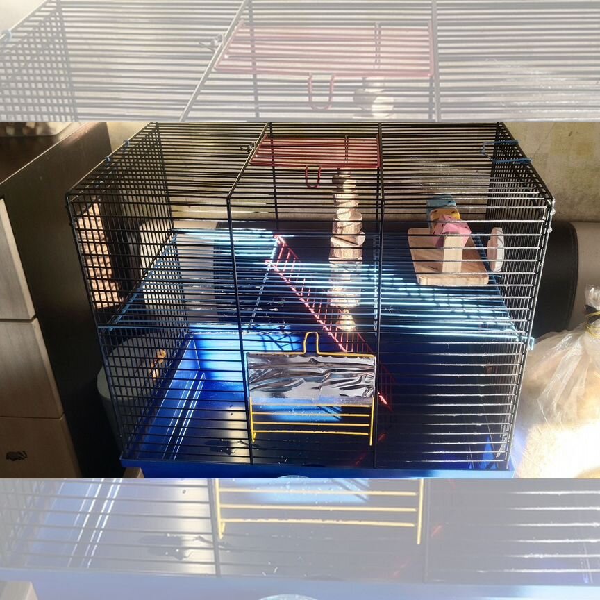 Клетка для хомяка