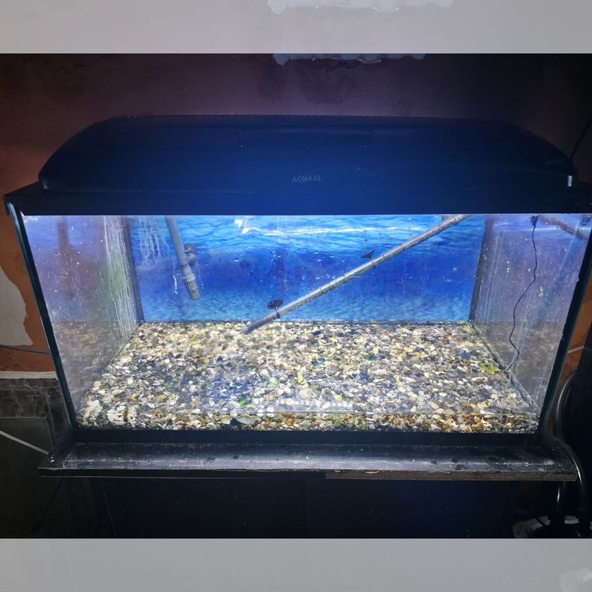 Аквариум aquael 80л с тумбой или без