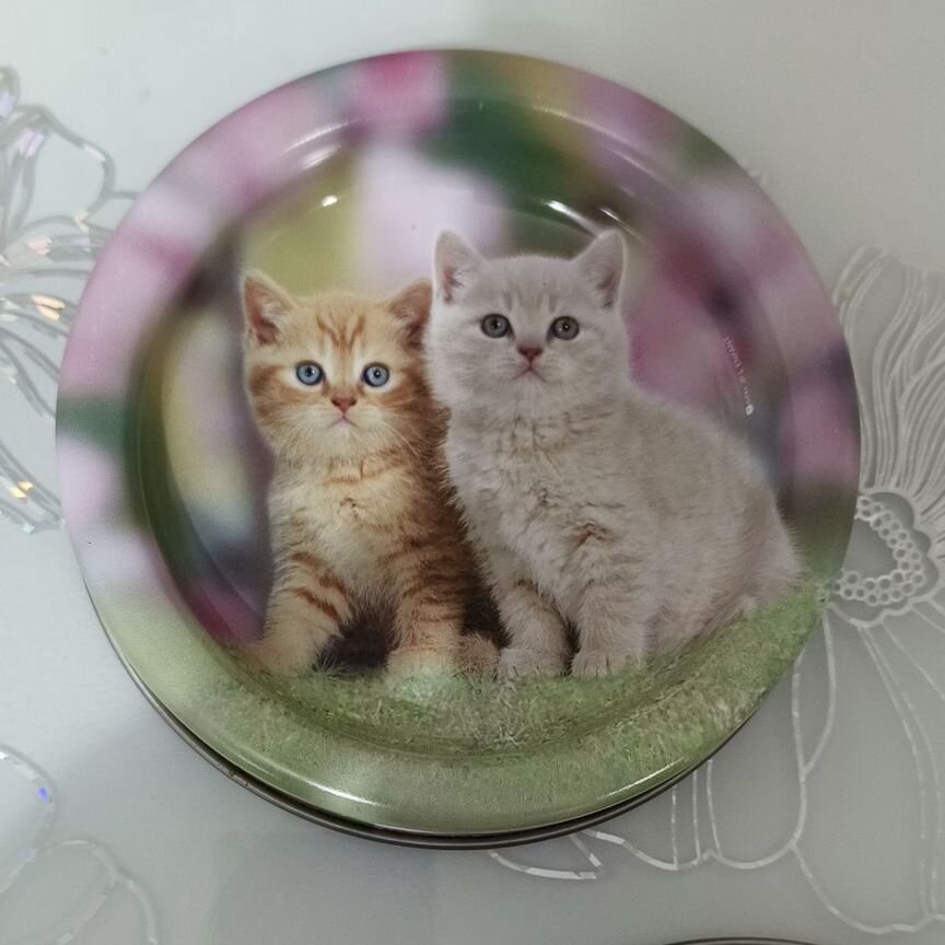 Миска для кошки