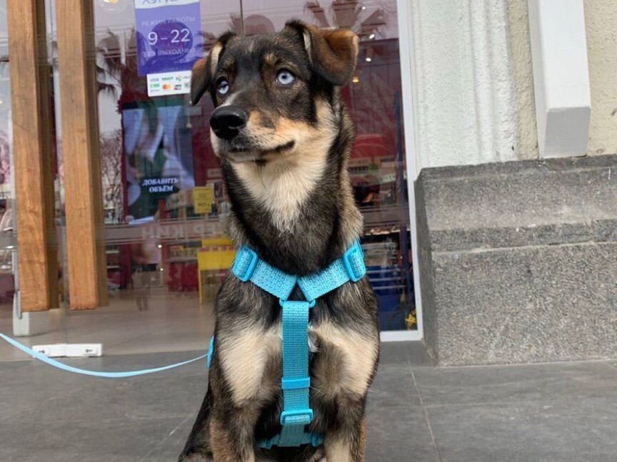 Габби космические глазки в ищет семью