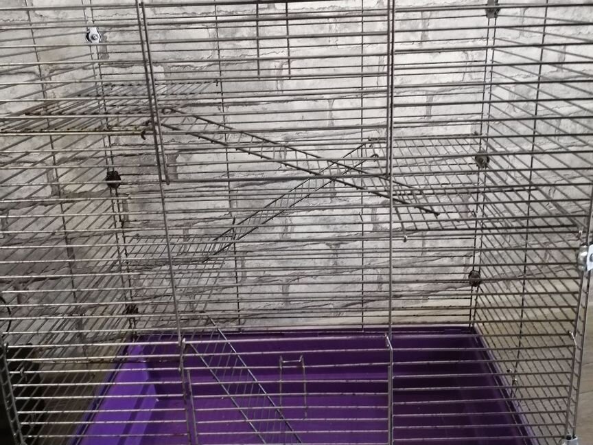 Клетка для грызунов (крысок)