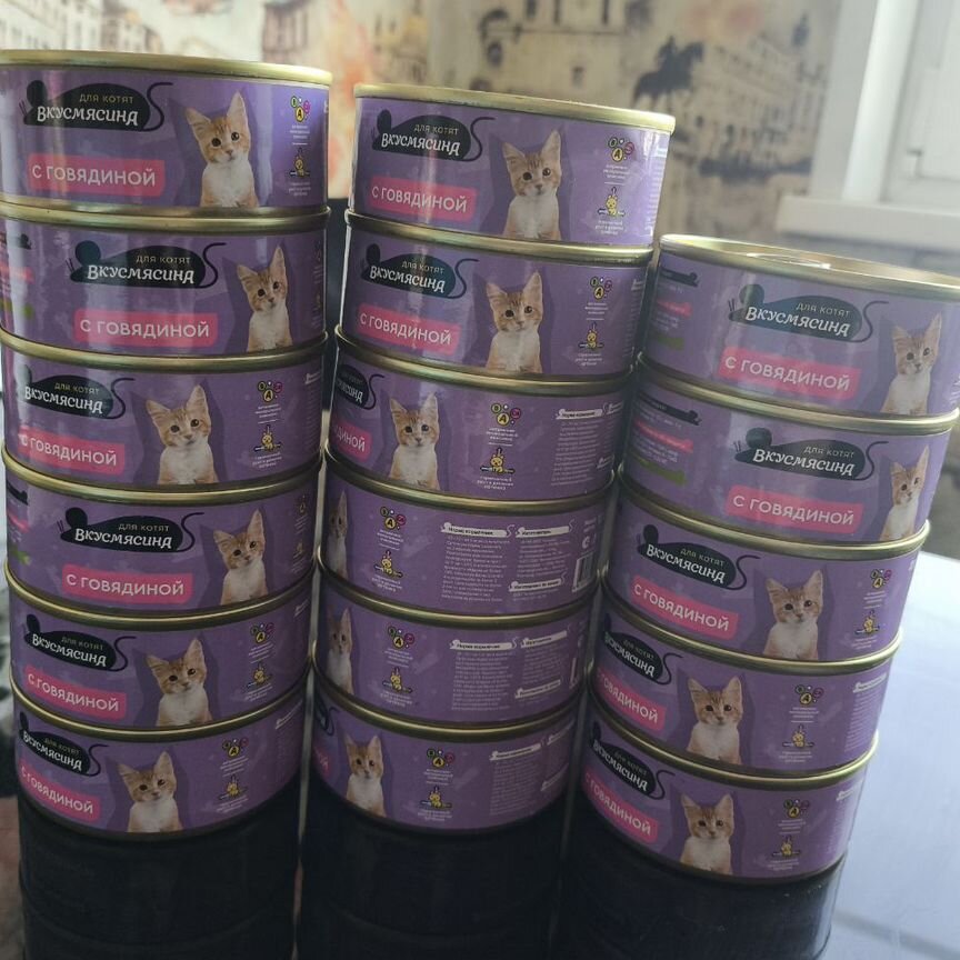 Кошачий корм влажный