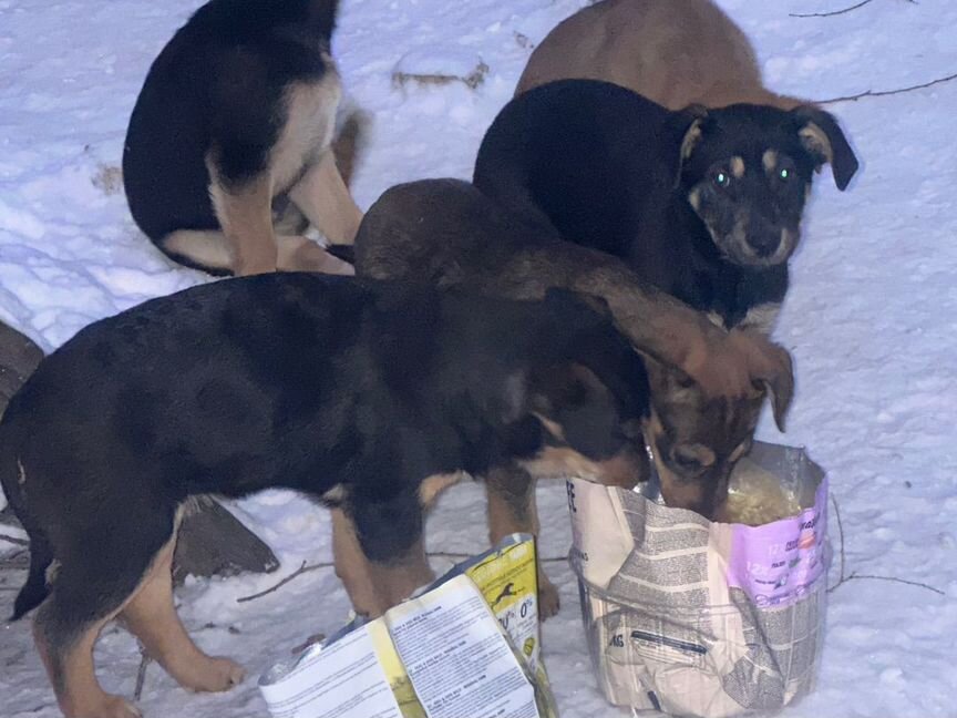 Ребята в доьрве очень долрые руки