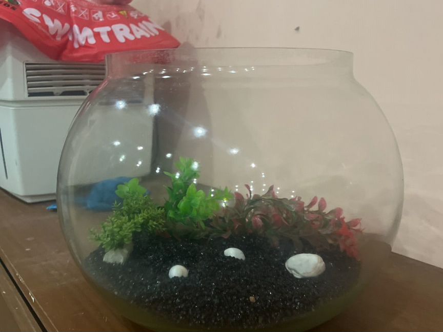 Аквариум для рыб и аксолотлей