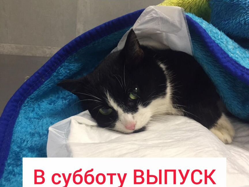 Через день все забудут о ее существовании