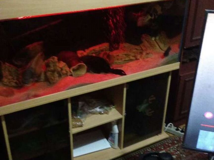 Аквариум